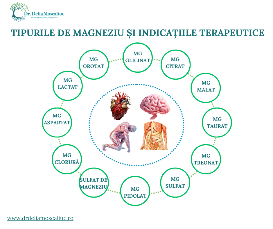 Tipurile de magneziu și indicațiile terapeutice - Dr. Delia Moscaliuc