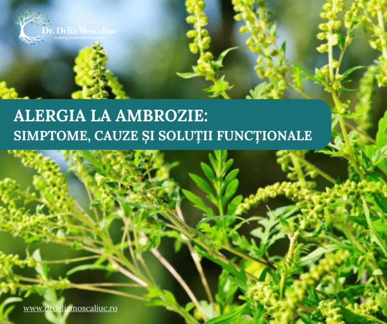 Alergia la ambrozie – simptome, cauze și soluții funcționale pentru ...