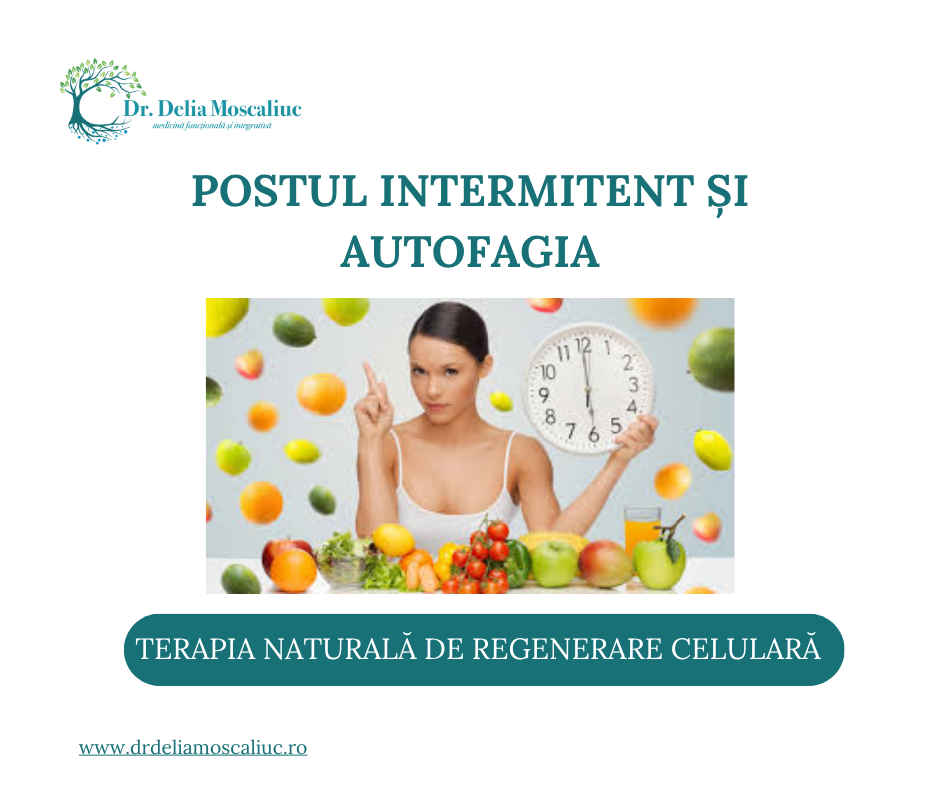 Mitocondriile – rolul lor în sinteza de energie și prevenirea ...